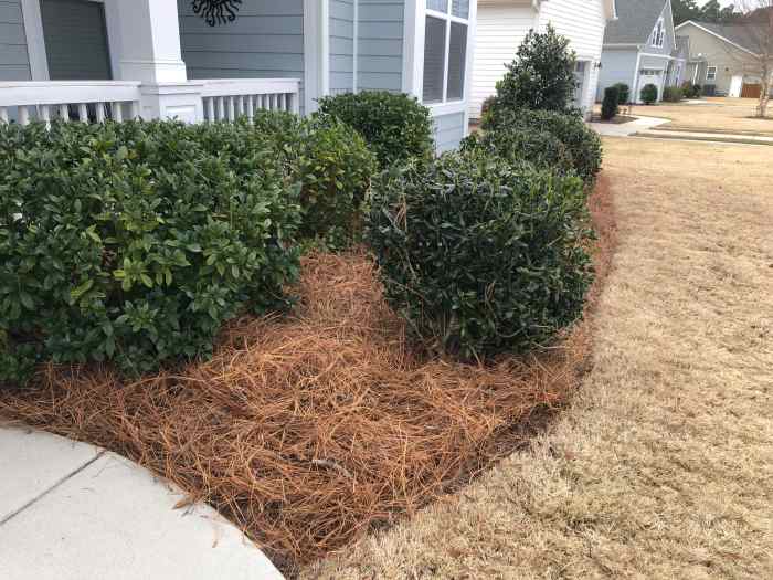 A Step-by-Step Guide to Installing Pine Straw In Garden Beds - HubPages