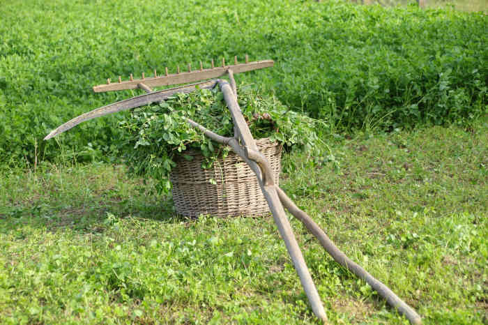 Whip-Swords and War-Scythes: 8 Weird Historical Melee Weapons - HubPages