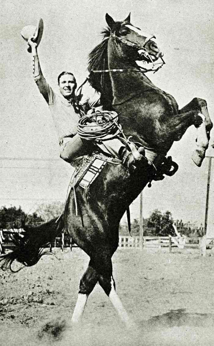 30 Famous Western Horses - HubPages