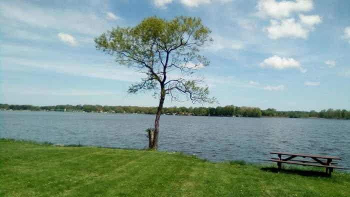 Self-Determination Vs. Determinism *Grammar Update* - HubPages