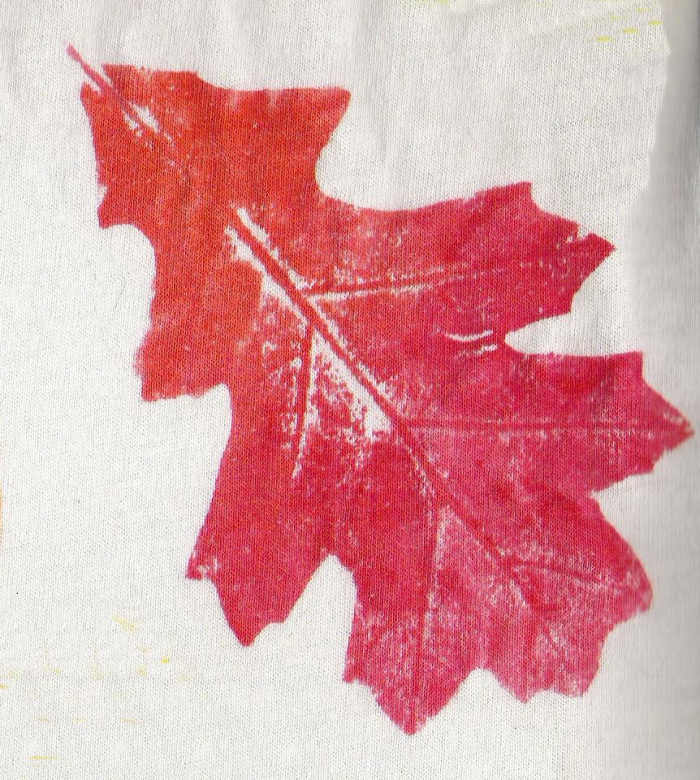 Do-It-Yourself Nature Crafting: Leaf Printing, Stamping and Fall ...