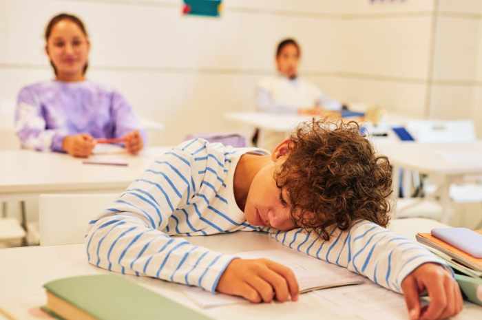 6 Reasons Why Schools Are Bad for Kids: Our Educational System Is ...