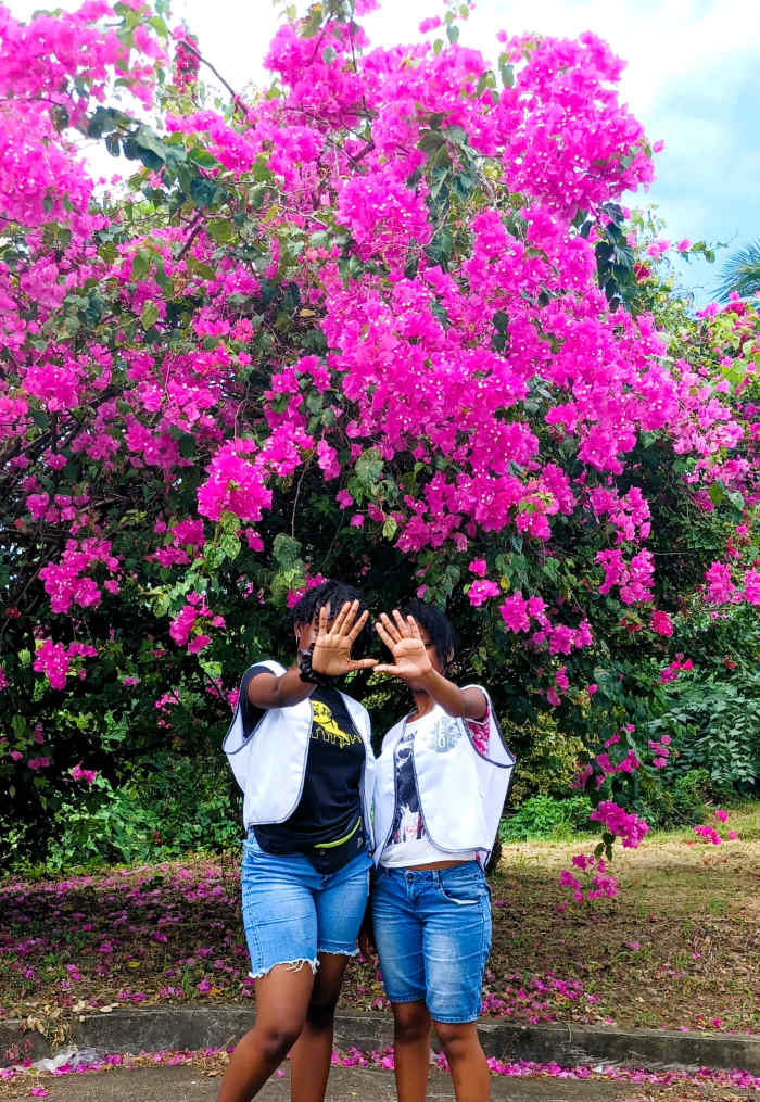 Spring Is Coming (Atlanta 2024) - HubPages