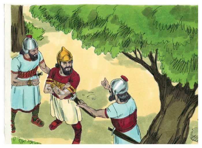 The Importance of Servants - HubPages