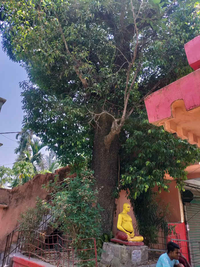 Maida Patalbhedini Dakshina Kali temple - a Kali temple with connection ...
