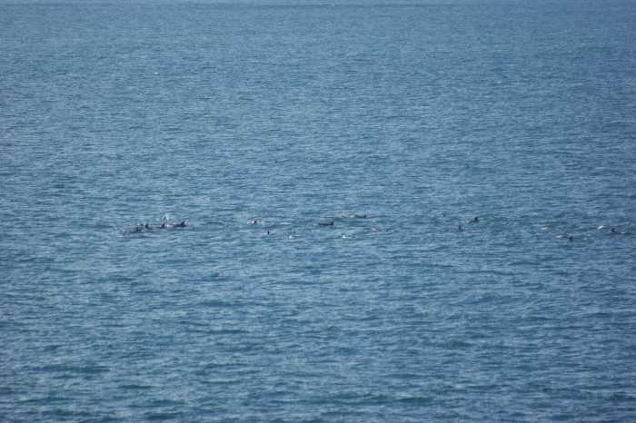 Nahoon Point Nature Reserve-Where Surfers and Sharks Meet. - HubPages