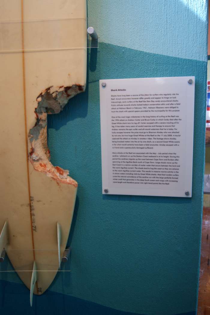 Nahoon Point Nature Reserve-Where Surfers and Sharks Meet. - HubPages