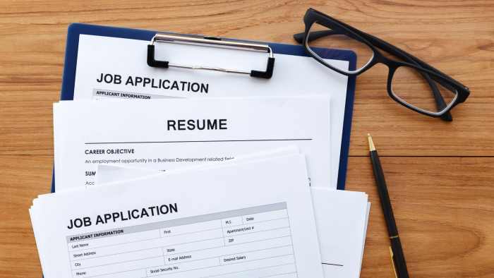 Should You Provide Your Race and Gender When Applying for a Job? - HubPages