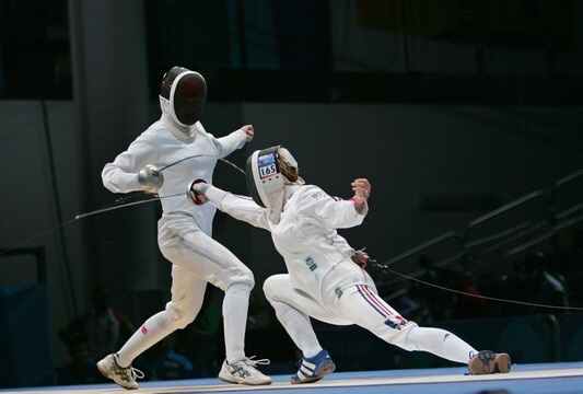 Introduction to Fencing 119 - HubPages