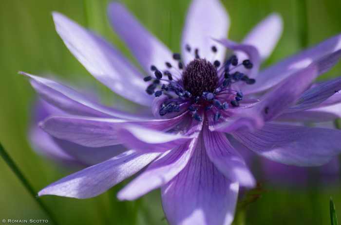 25 Modesty Quotes from Christian Female Authors - HubPages