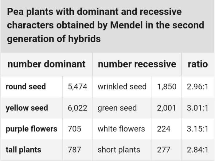 Heredity: How Traits Pass Through Generations - HubPages