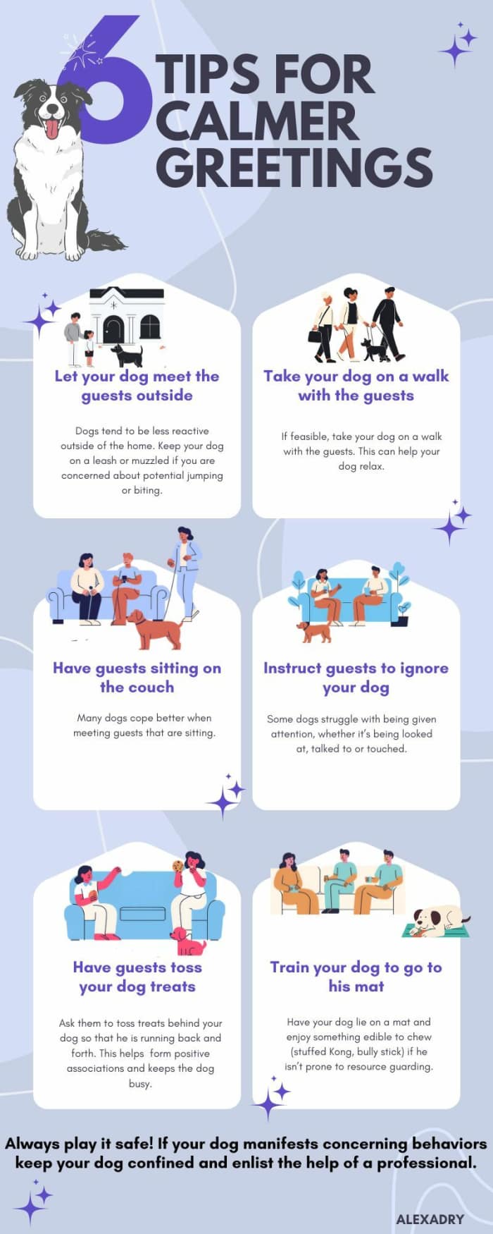 Help, My Dog Barks at Everything! - HubPages