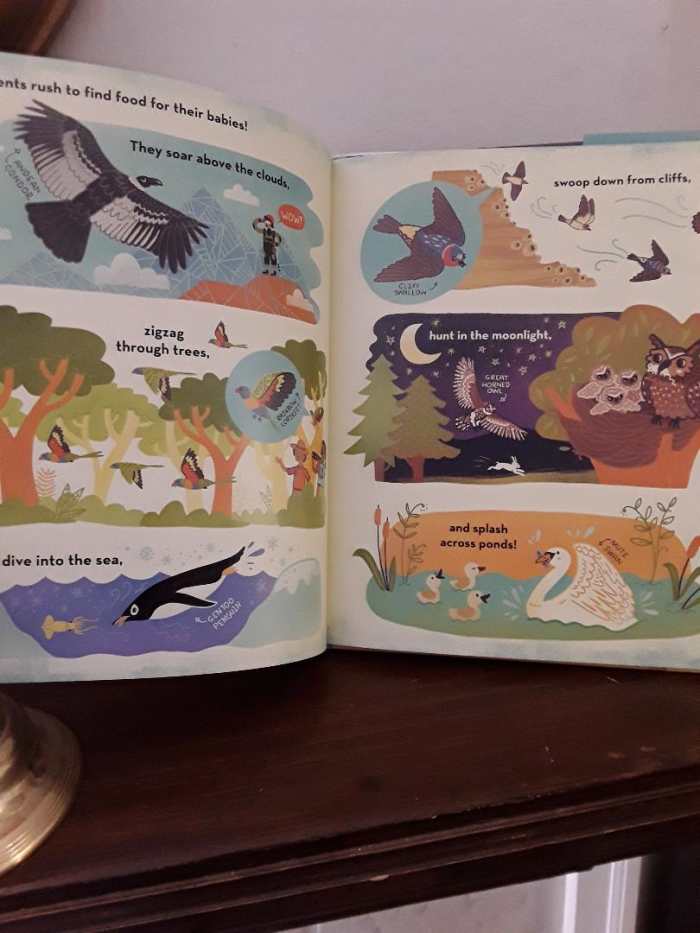 Birds and Their Nests in Informative and Beautifully Illustrated ...