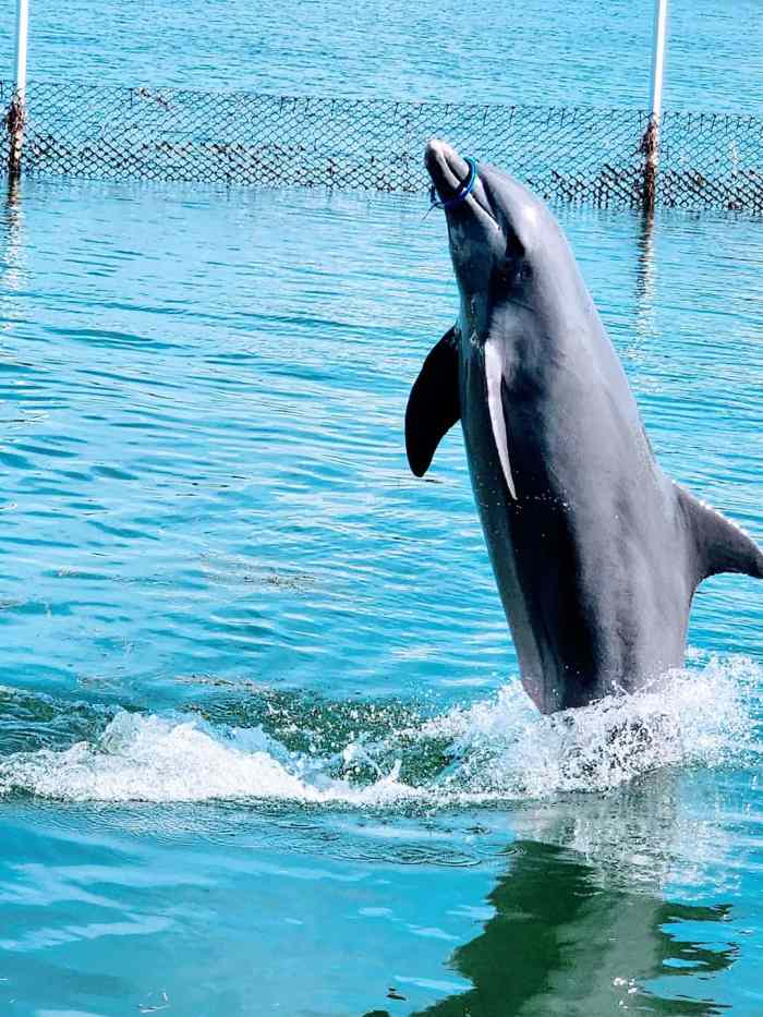 Travel Guide: Discovering Marathon, Florida - HubPages