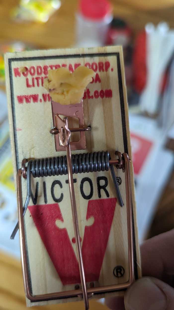 Victor Wooden Mouse Trap - HubPages