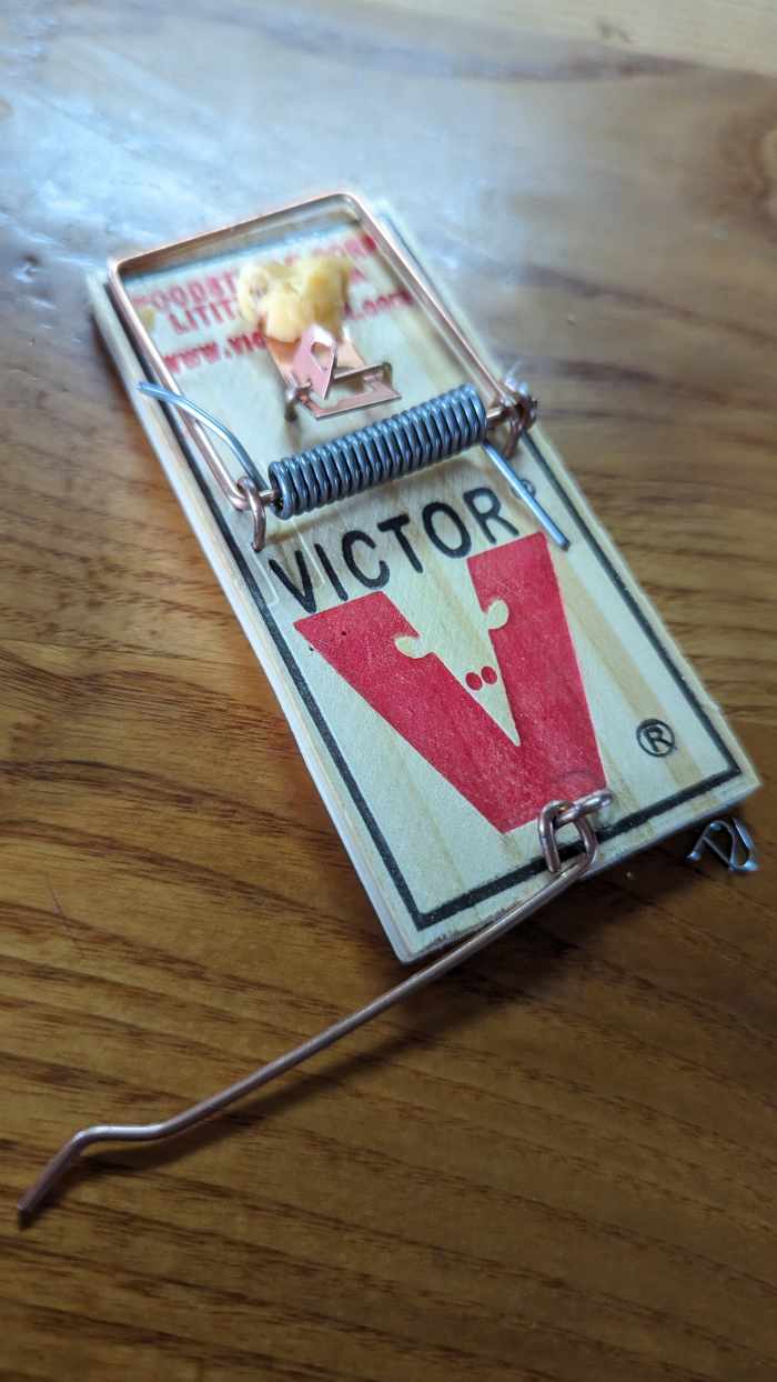 Victor Wooden Mouse Trap - HubPages