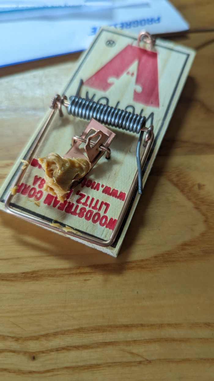 Victor Wooden Mouse Trap - HubPages