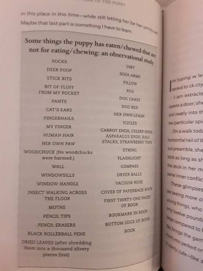 Puppy's First Year as Told in Educational Story That All Dog Owners Can ...