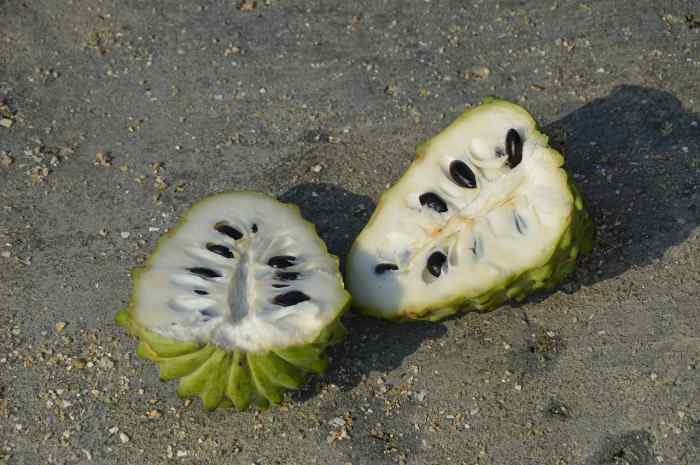 Facts About Custard Apple Trees-Description and Uses - HubPages