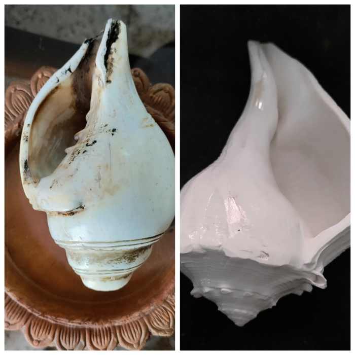 Conch : Religious significance and its presence in Bengal temple ...