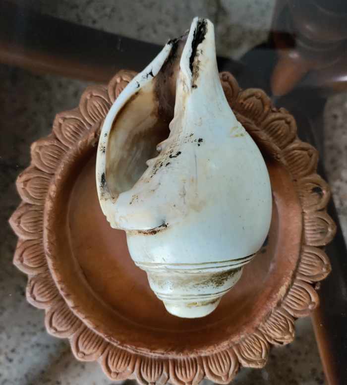 Conch : Religious significance and its presence in Bengal temple ...