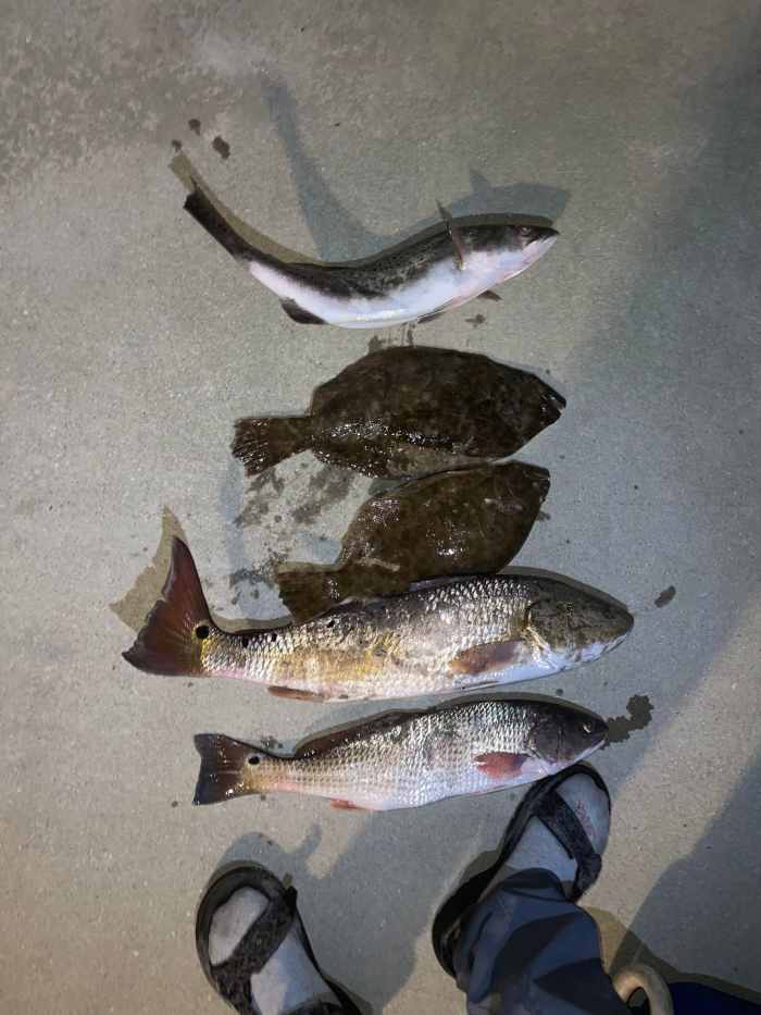 Best Saltwater Fishing Spot in Gulf Shores, Alabama - HubPages