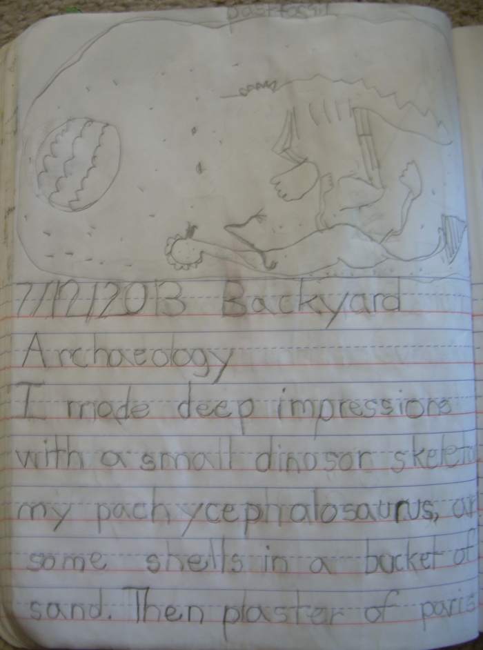 Backyard Archaeology: How to Make Your Own Fossil - HubPages