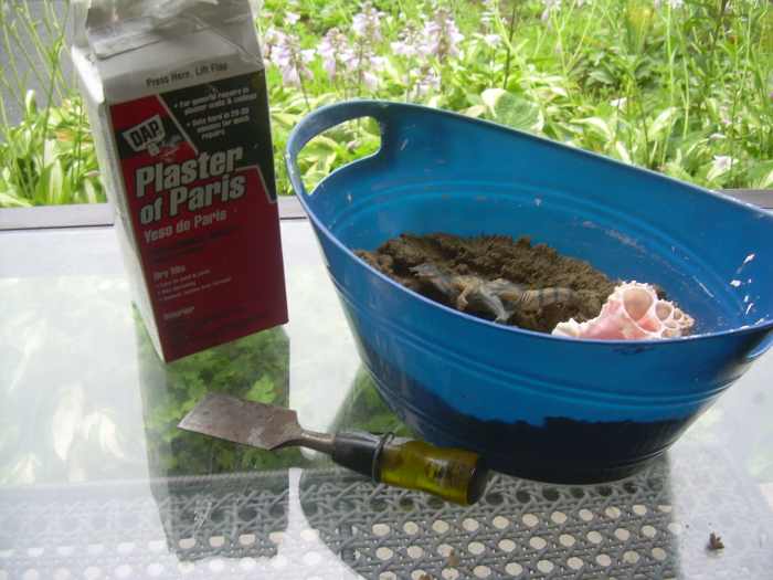 Backyard Archaeology: How to Make Your Own Fossil - HubPages