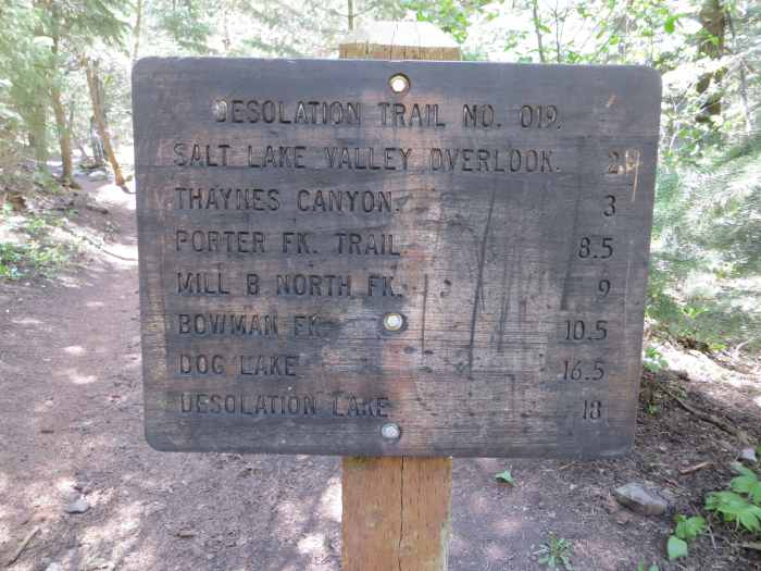 Utah Hiking Trails For Families With Kids: Desolation Trail to the Salt ...