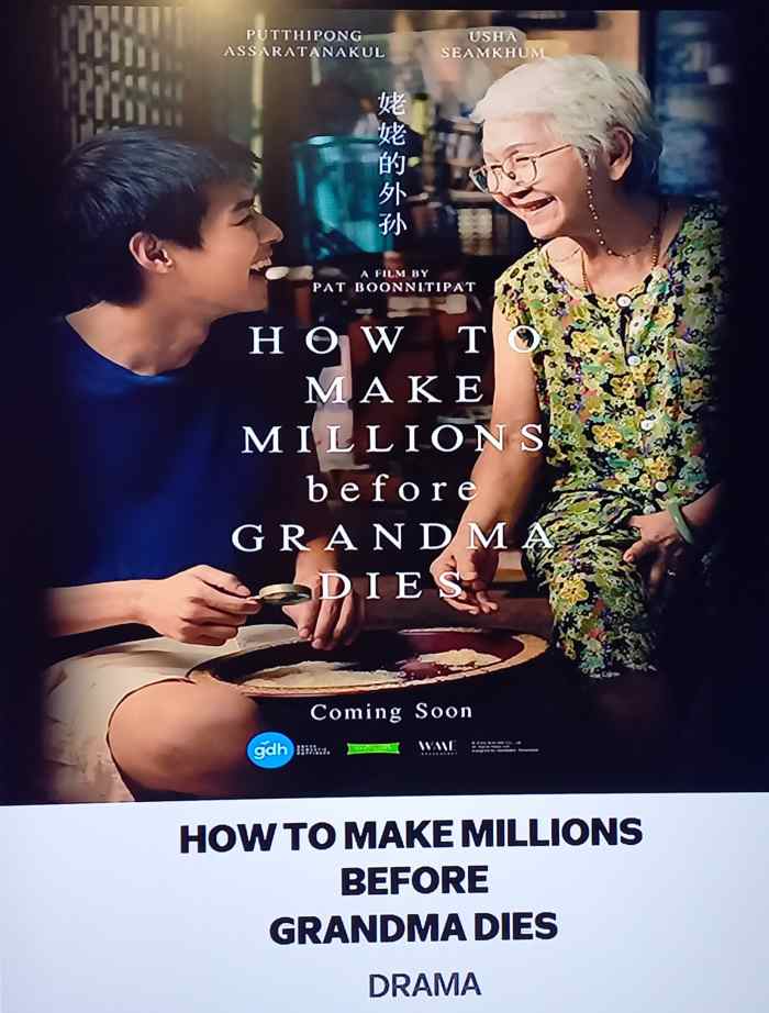My Afterthoughts on How To Make Millions Before Grandma Dies Movie - HubPages