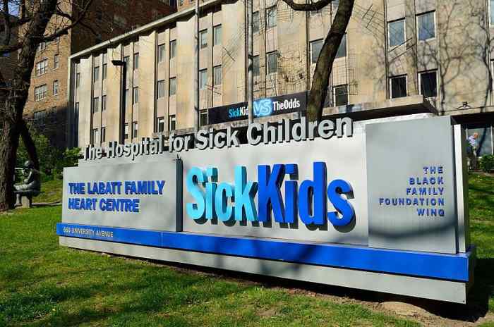 Susan Nelles and a Nurse's Nightmare - HubPages