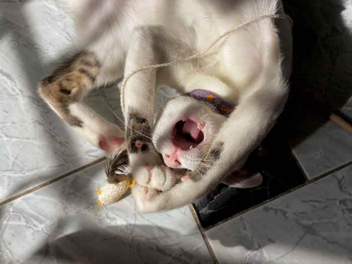 Upside Down Smile - By: Tamara Yancosky - HubPages