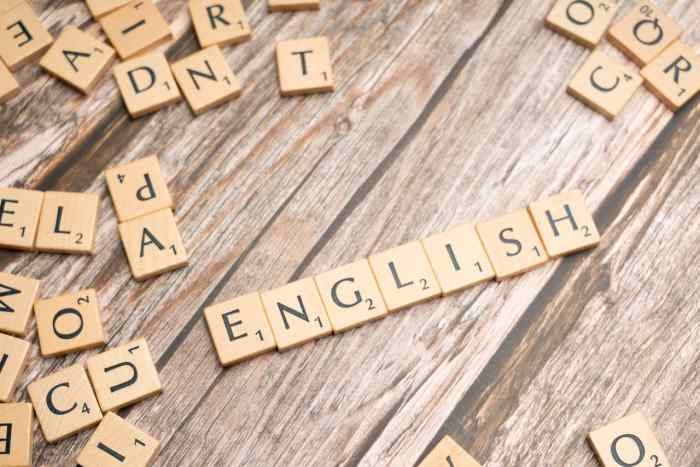 5 Inexcusable English Language Errors You Should Avoid - HubPages