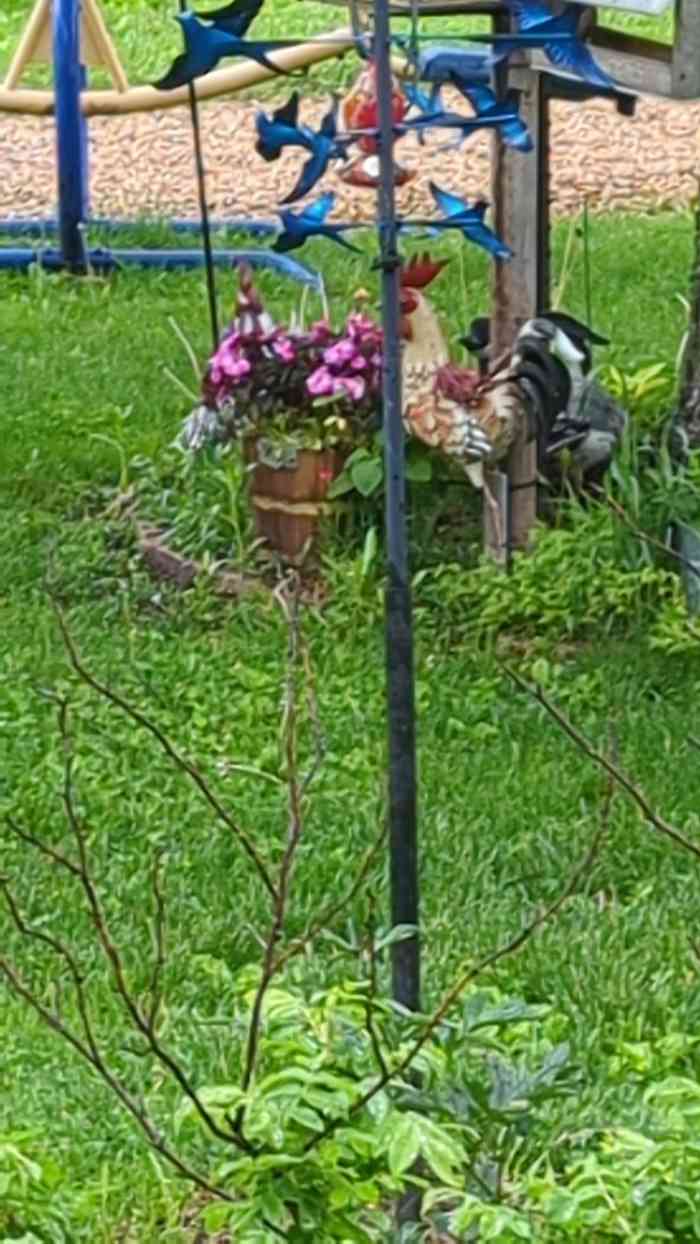 Metal Yard Art - Decorating with Metal Stuff - HubPages