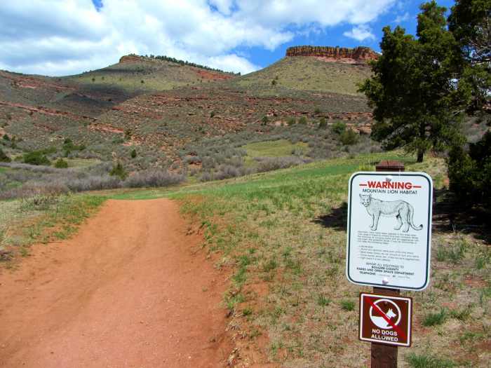 Hiking at the Hall Ranch - North Foothills Open Space Near Lyons ...