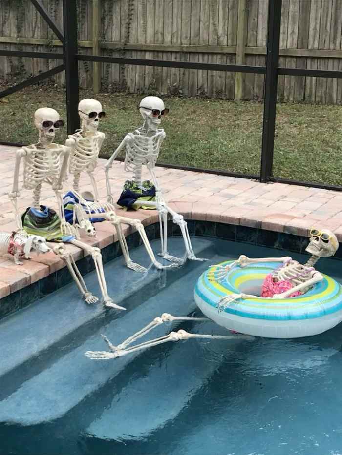 40+ Spooktastic Skeleton Halloween Decoration Ideas for Front Yard ...