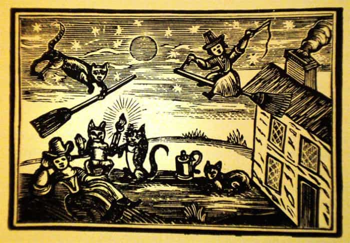 Familiars and Witches: Some Insight - HubPages