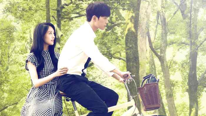 17 Best School Romance Chinese Dramas - HubPages