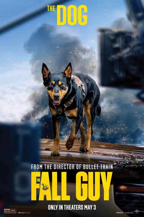 Ranking Director David Leitch's Movies 1-5. - HubPages