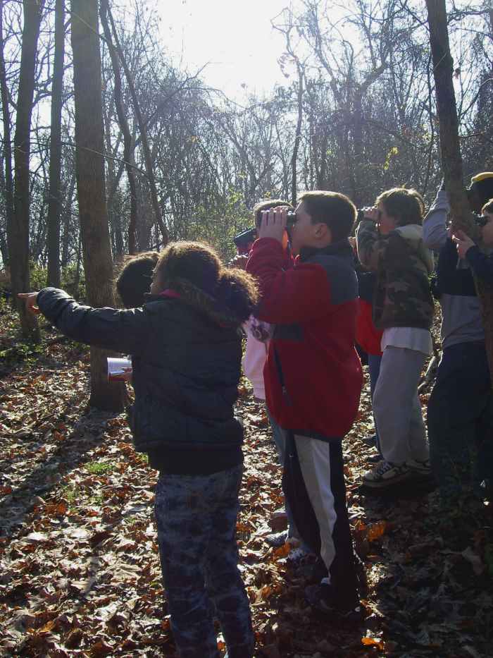 Beginning Birding: Avoid Frustration With These Basic Principles - HubPages