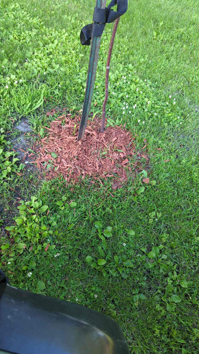 Red Mulch - Refreshing Mulched Areas - HubPages