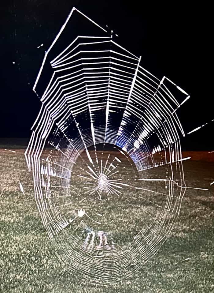 Writing Spiders - HubPages