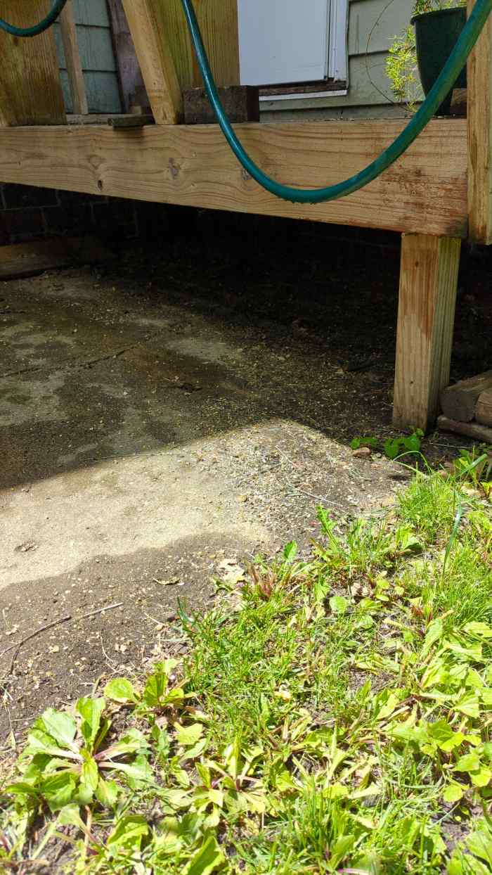 Cutter - Backyard Bug Control - HubPages