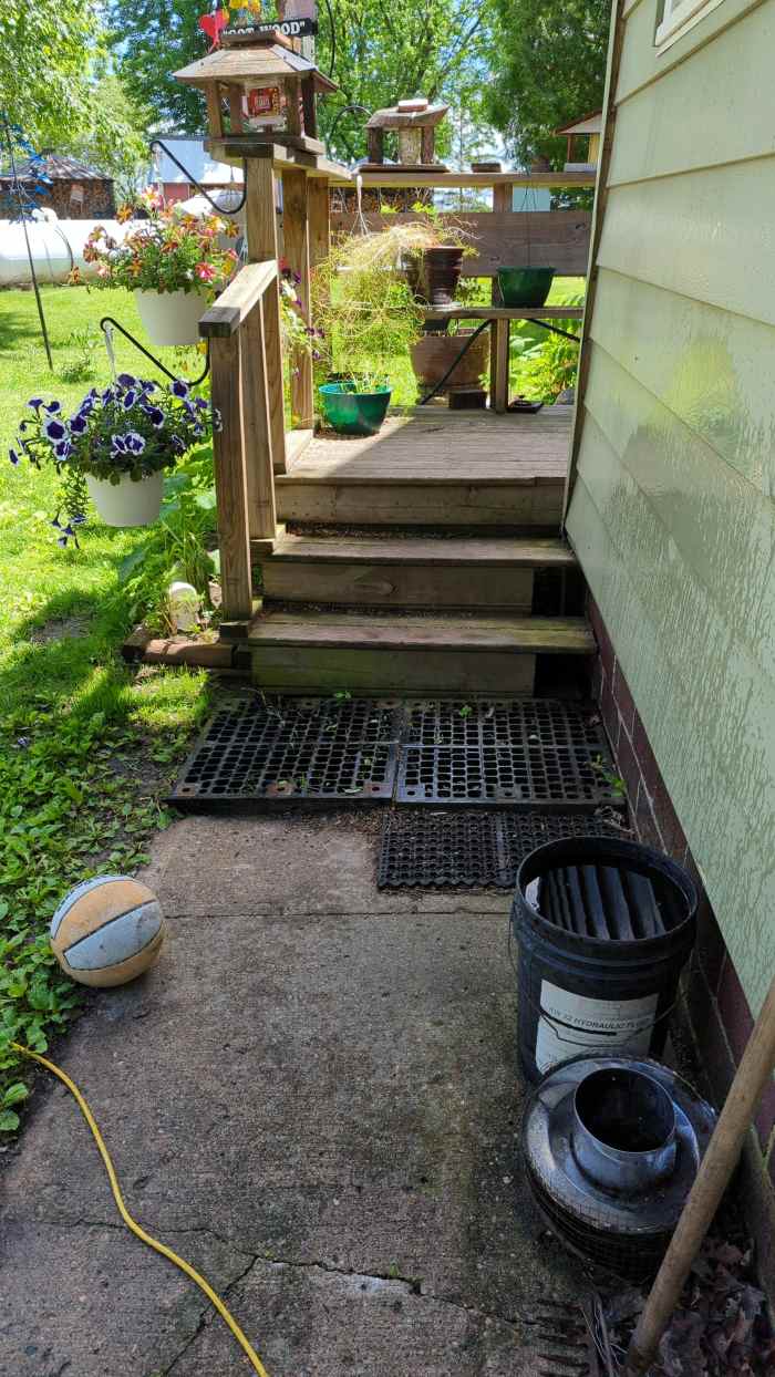 Cutter - Backyard Bug Control - HubPages