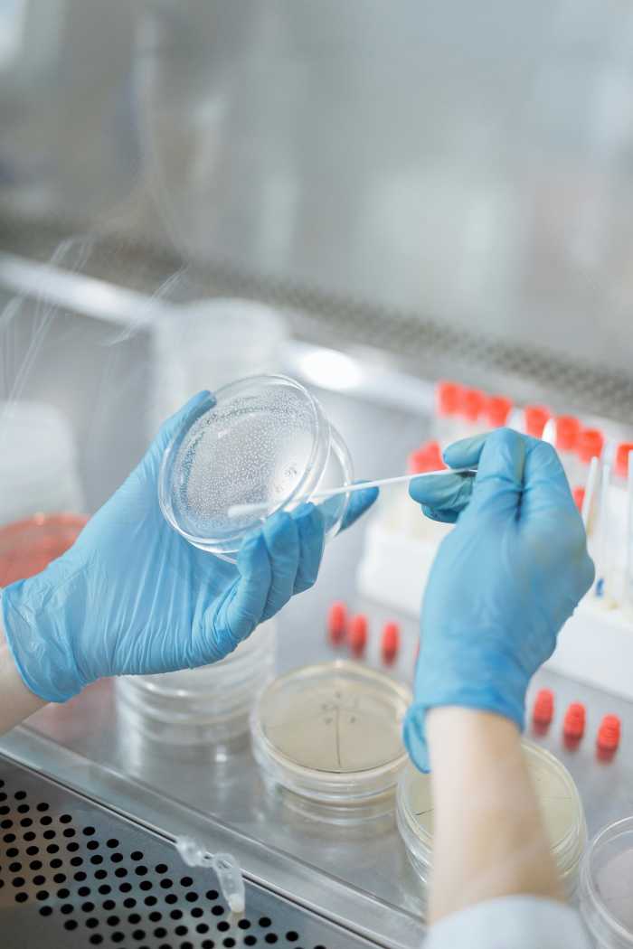 16 Free Master’s in Microbiology and Molecular Biology in Germany ...