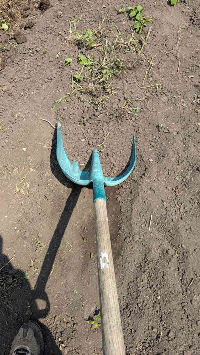 Chicken Poop from a Coop for Garden Use - HubPages