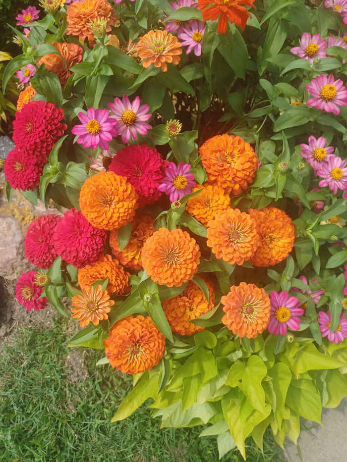 Dare to Defy Discouragement - HubPages