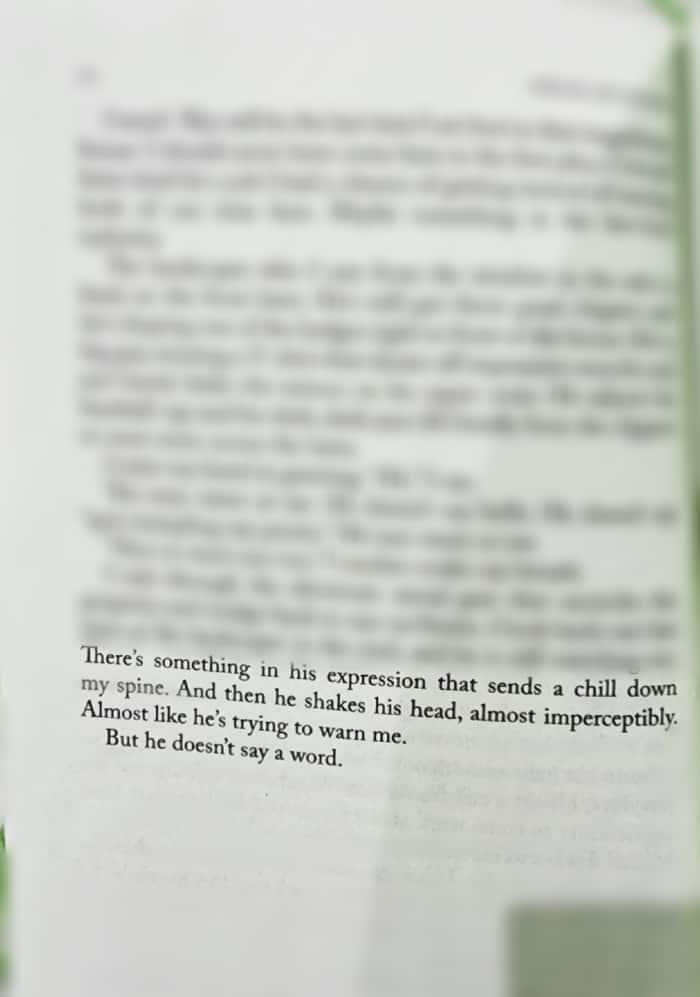 Book Review: The Housemaid by Freida McFadden - HubPages