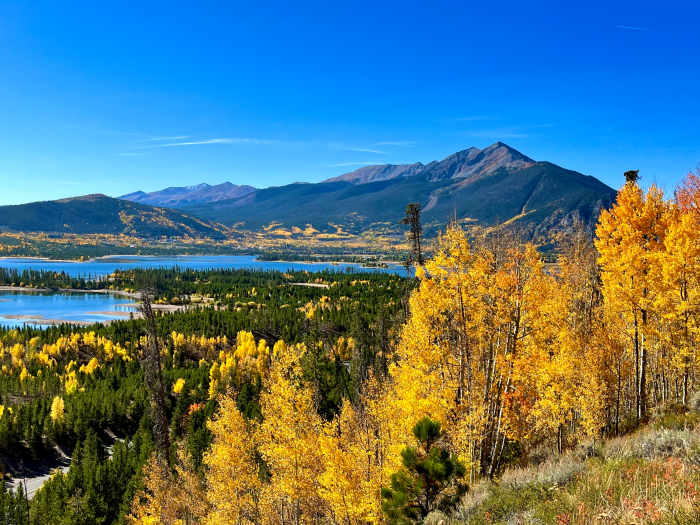 11 Easy Walks and Hikes to See Fall Colors in Colorado - HubPages