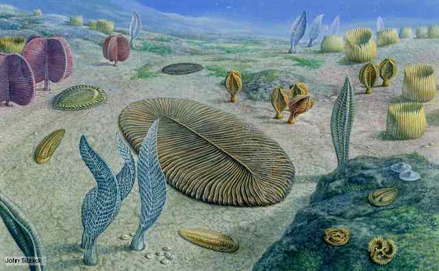 Precambrian Paradise - HubPages